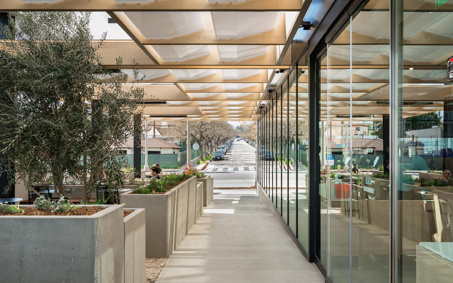 Montalba Architects