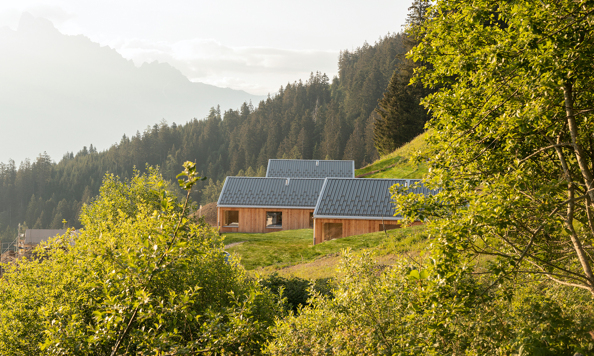 Montalba Architects