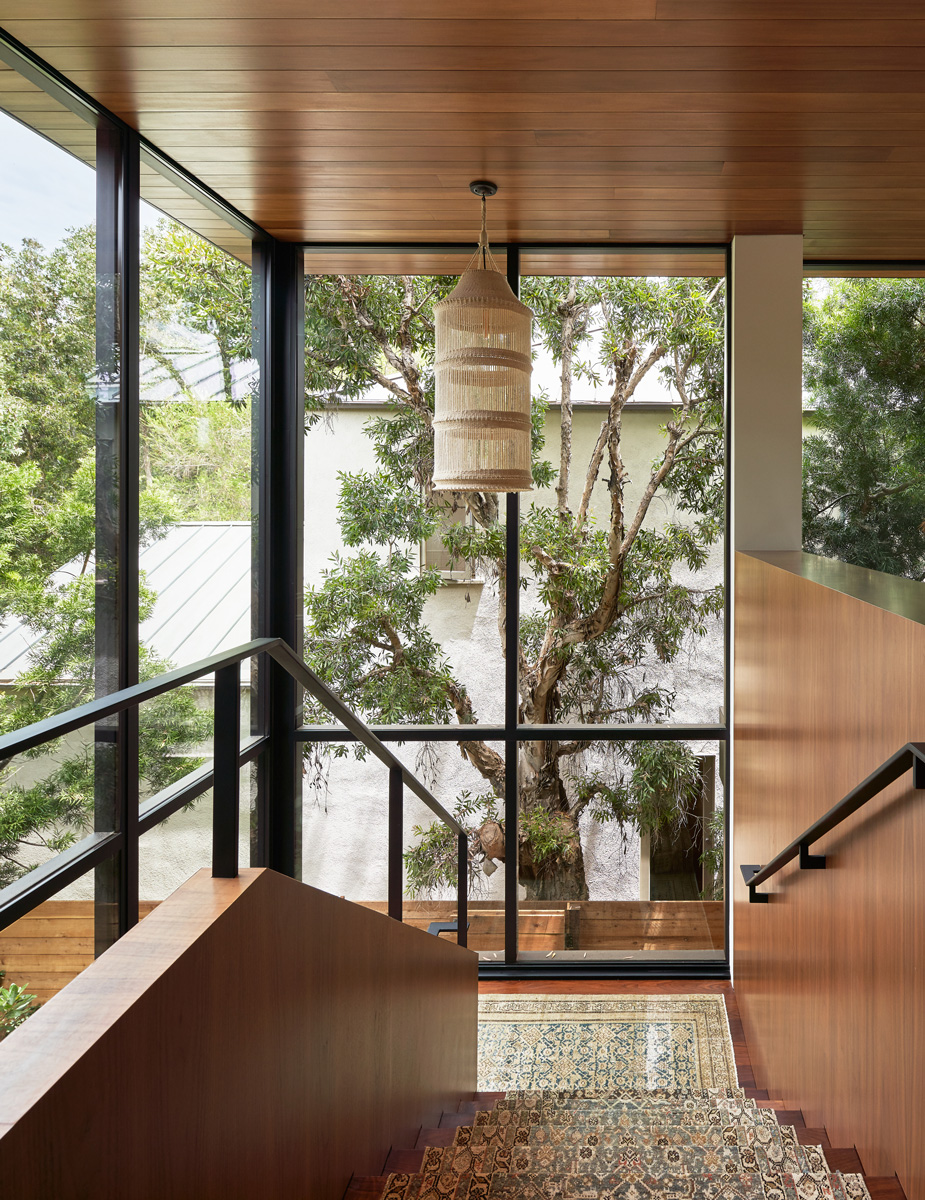 Montalba Architects