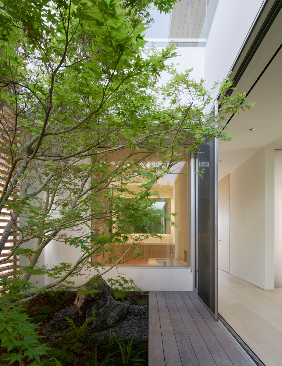 Montalba Architects