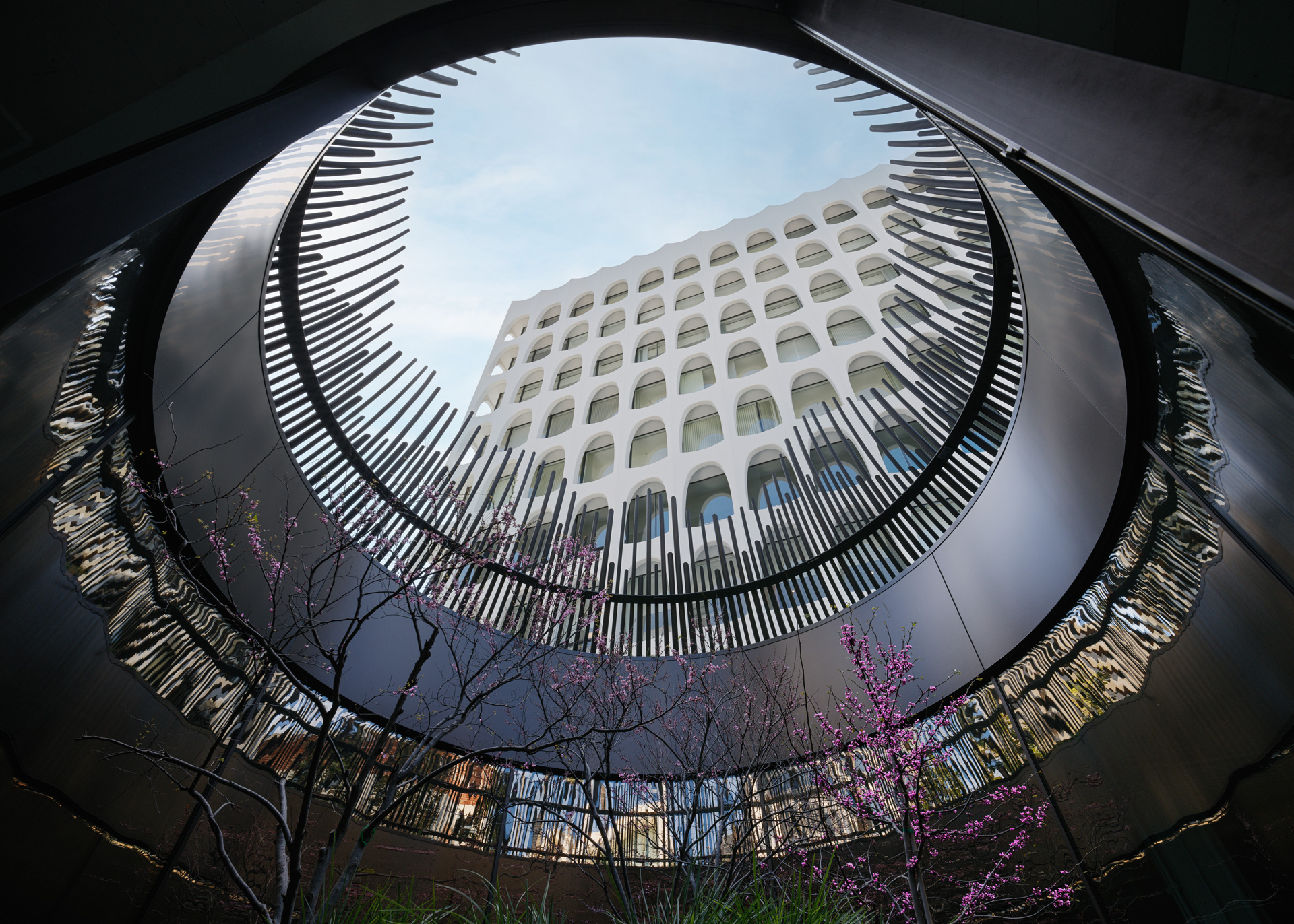 Montalba Architects